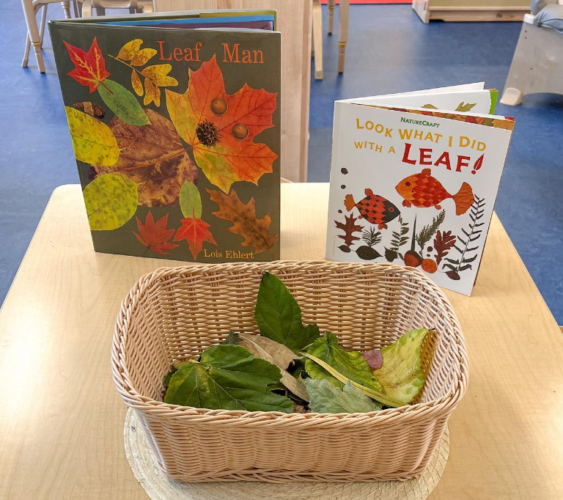 3 Play-Based Activities for Fall in TK and Kindergarten - Research and Play